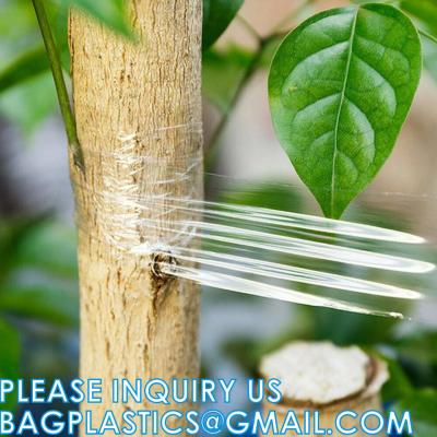 Cina Grafting Tape, Each Roll 328 Feet, Stretchable Garden Grafting Tape, Self-Adhesive Plant Repair Tapes For Garden in vendita