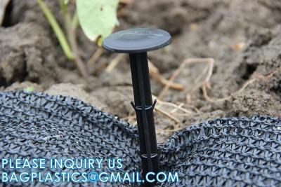 Cina Staples Stakes Anchors Rustproof for Holding Down Landscape Fabric Lawn Edging,Tents, Game Nets and Rain Tarps Black in vendita