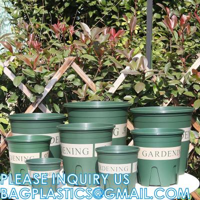 China Planters for Indoor Plants, Planters with Drainage Hole and Tray, Flower Pots Indoor Plant Pots for Patio Garden for sale