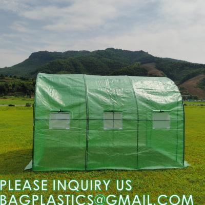 Cina Portable Plant GreenHouse Zippered Door Windows, Galvanized Steel Hoops, Glass Greenhouse, Polycarbonate Greenhouse in vendita