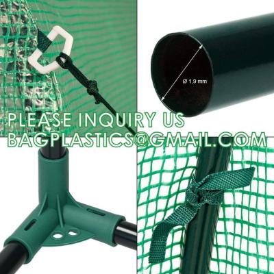Cina Portable Plant GreenHouse Zippered Door Windows, Galvanized Steel Hoops, Glass Greenhouse, Polycarbonate Greenhouse in vendita