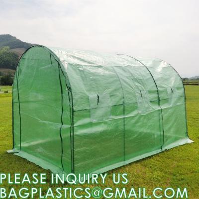 Cina Portable Plant GreenHouse Zippered Door Windows, Galvanized Steel Hoops, Glass Greenhouse, Polycarbonate Greenhouse in vendita