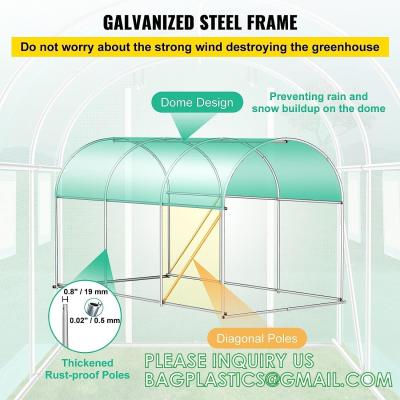 Cina Portable Plant GreenHouse Zippered Door Windows, Galvanized Steel Hoops, Glass Greenhouse, Polycarbonate Greenhouse in vendita