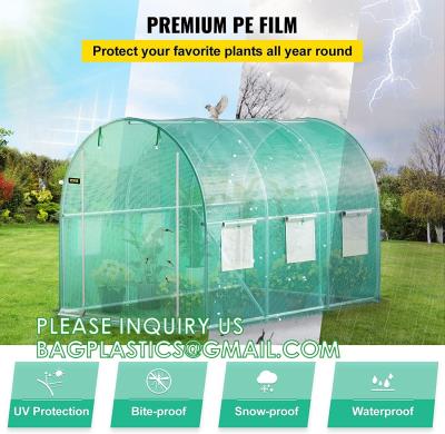 Cina Portable Plant GreenHouse Zippered Door Windows, Galvanized Steel Hoops, Glass Greenhouse, Polycarbonate Greenhouse in vendita