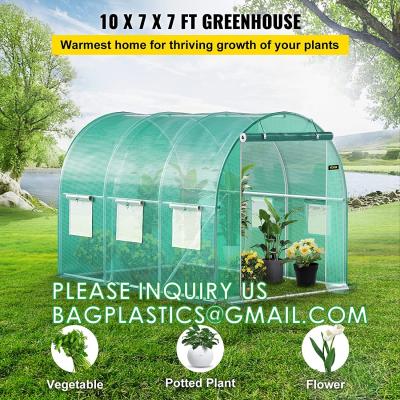 Cina Portable Plant GreenHouse Zippered Door Windows, Galvanized Steel Hoops, Glass Greenhouse, Polycarbonate Greenhouse in vendita