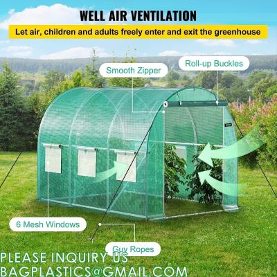Cina Portable Plant GreenHouse Zippered Door Windows, Galvanized Steel Hoops, Glass Greenhouse, Polycarbonate Greenhouse in vendita