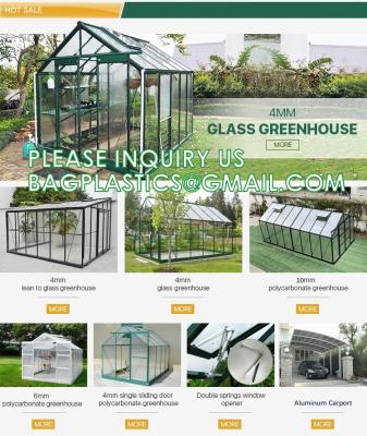 Cina Portable Plant GreenHouse Zippered Door Windows, Galvanized Steel Hoops, Glass Greenhouse, Polycarbonate Greenhouse in vendita