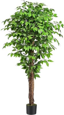 Cina Casa domestica dell'interno della pianta in vaso della pianta della decorazione della pianta di Ficus carica della pianta da frutto dei bonsai dell'albero della pianta artificiale del Faux in vendita