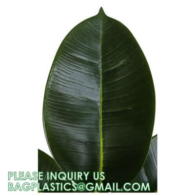 Cina il Faux di sguardo quasi naturale della quercia di 80cm pianta la quercia dell'interno ornamentale del Faux di Fashional dell'albero pianta il tocco reale in vendita