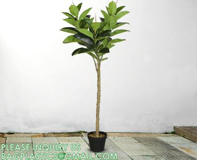 Cina il Faux di sguardo quasi naturale della quercia di 80cm pianta la quercia dell'interno ornamentale del Faux di Fashional dell'albero pianta il tocco reale in vendita