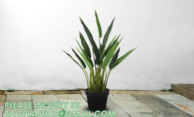Cina L'uccello di Paradise artificiale pianta la palma tropicale di falsificazione di 6 Ft con i tronchi in vaso e nel canestro tessuto della pancia del Seagrass in vendita
