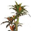 Cina Artificial Agave Plant Potted Plants, Artificial Plant Perfect for Home Office Indoor Decoration in vendita