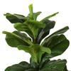 Cina Artificial Fiddle Leaf Fig Tree/Faux Ficus Lyrata for Home Office Decoration, Ships in Silvery Gray Planter in vendita