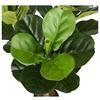 Cina Artificial Fiddle Leaf Fig Tree/Faux Ficus Lyrata for Home Office Decoration, Ships in Silvery Gray Planter in vendita