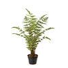 Cina Spinulosa Fern Plants Bushes Fake Shrubs Greenery Plants Faux Fern Snakewood Outdoors UV Resistant Garden Plants in vendita