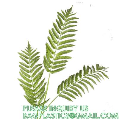 Cina Spinulosa Fern Plants Bushes Fake Shrubs Greenery Plants Faux Fern Snakewood Outdoors UV Resistant Garden Plants in vendita