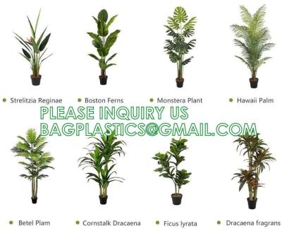 China 1.6m For Decoration Bonsai Artificial Fishtail Palm Plant, Artificial Tree Fake Potted Simulation Tree Nordic Style for sale