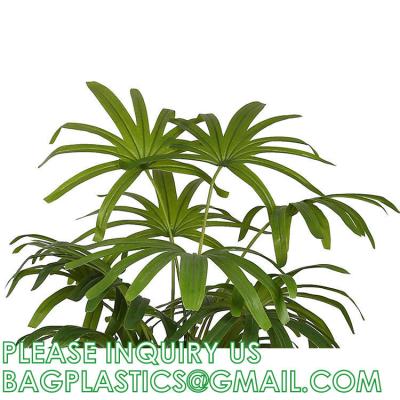 China 1.6m For Decoration Bonsai Artificial Fishtail Palm Plant, Artificial Tree Fake Potted Simulation Tree Nordic Style for sale