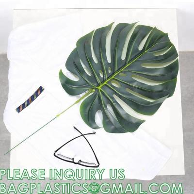 Cina Piante false 16