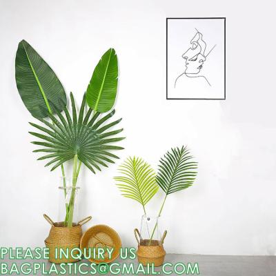 Cina Piante false 16