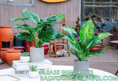 Cina Fake Plants 16