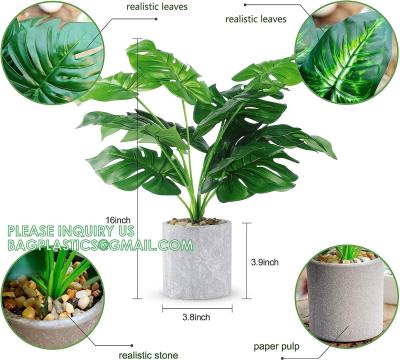 Cina Fake Plants 16