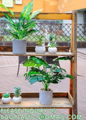 Cina Fake Plants 16