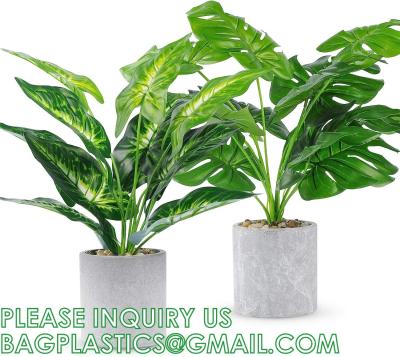Cina Fake Plants 16
