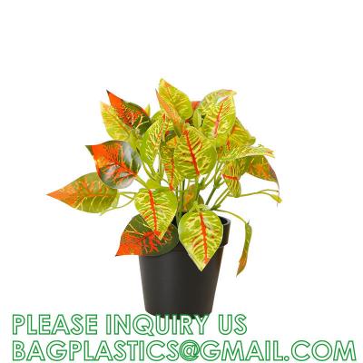 Cina Fake Plants 16