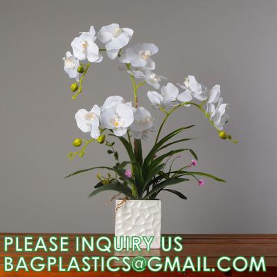Cina Fake Plants 16