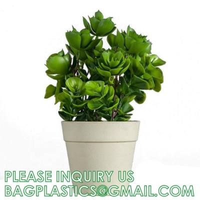 Cina Fake Plants 16