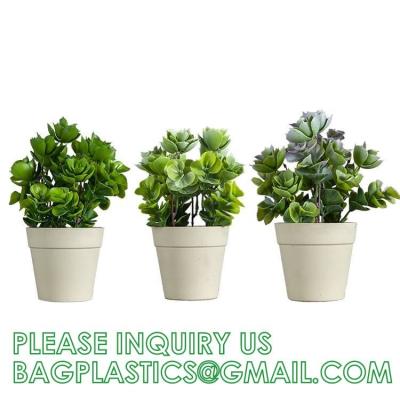 Cina Fake Plants 16
