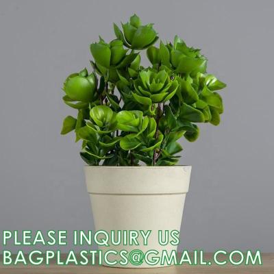 Cina Fake Plants 16