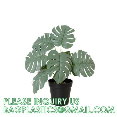Cina Fake Plants 16