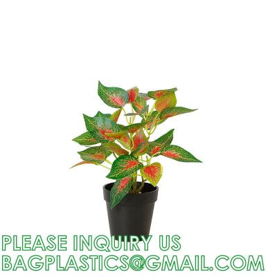 Cina Fake Plants 16