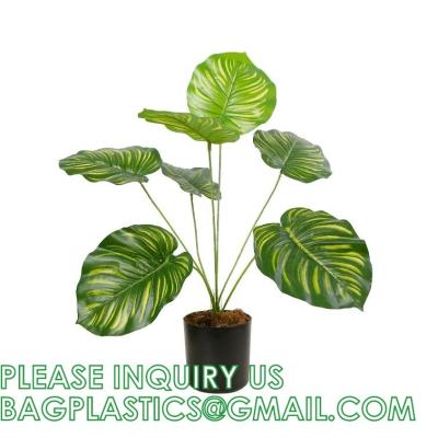Cina Fake Plants 16