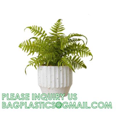 Cina Fake Plants 16