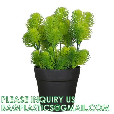 Cina Fake Plants 16
