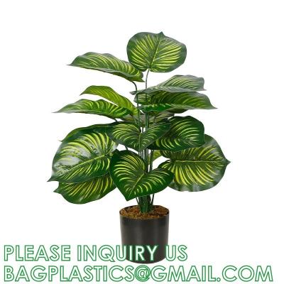 Cina Fake Plants 16