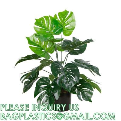 Cina Fake Plants 16