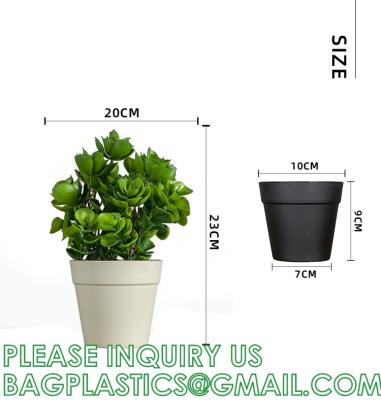 Cina Fake Plants 16
