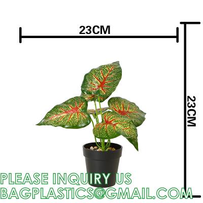 Cina Fake Plants 16