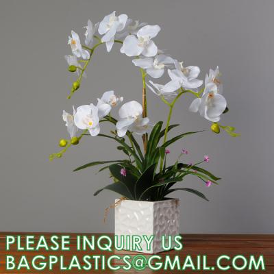 Cina Fake Plants 16