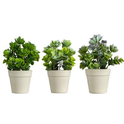Cina Fake Plants 16