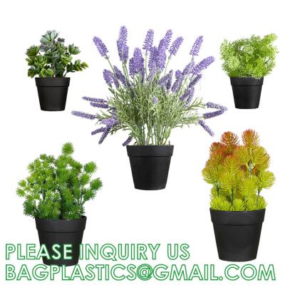 Cina Fake Plants 16