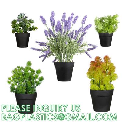 Cina Fake Plants 16