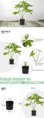 Cina Fake Plants 16