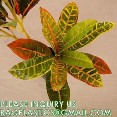 Cina Fake Plants 16