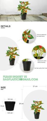 Cina Fake Plants 16