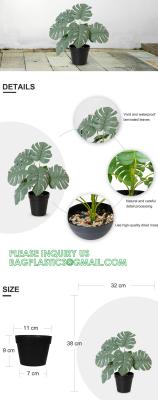 Cina Fake Plants 16